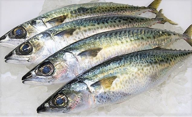 Whole Fish